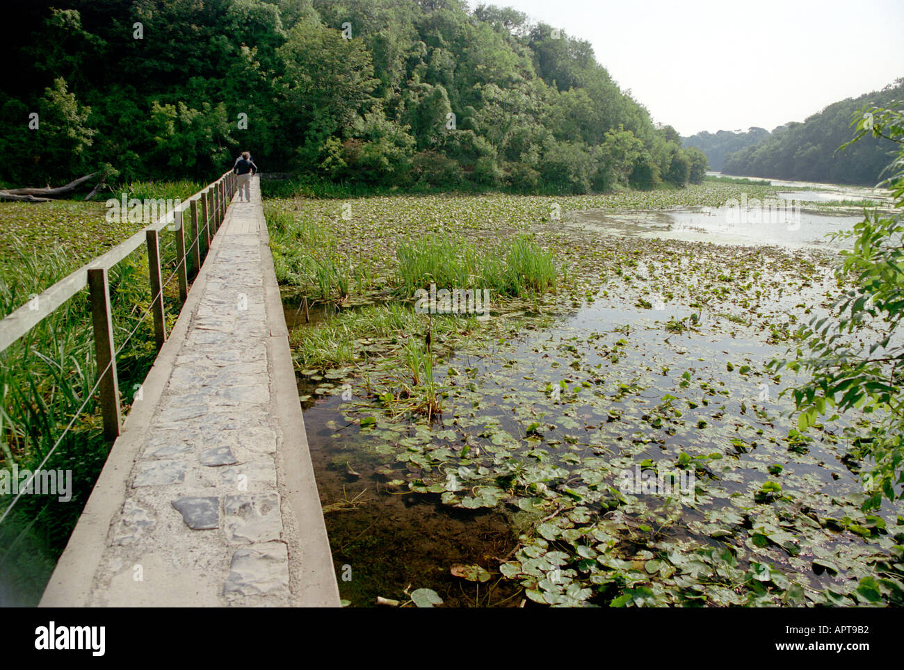The lakes at Bosherton Lily Ponds in Pembrokeshire Stock Photo - Alamy
