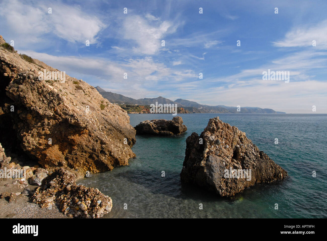 Carabeo hi-res stock photography and images - Alamy