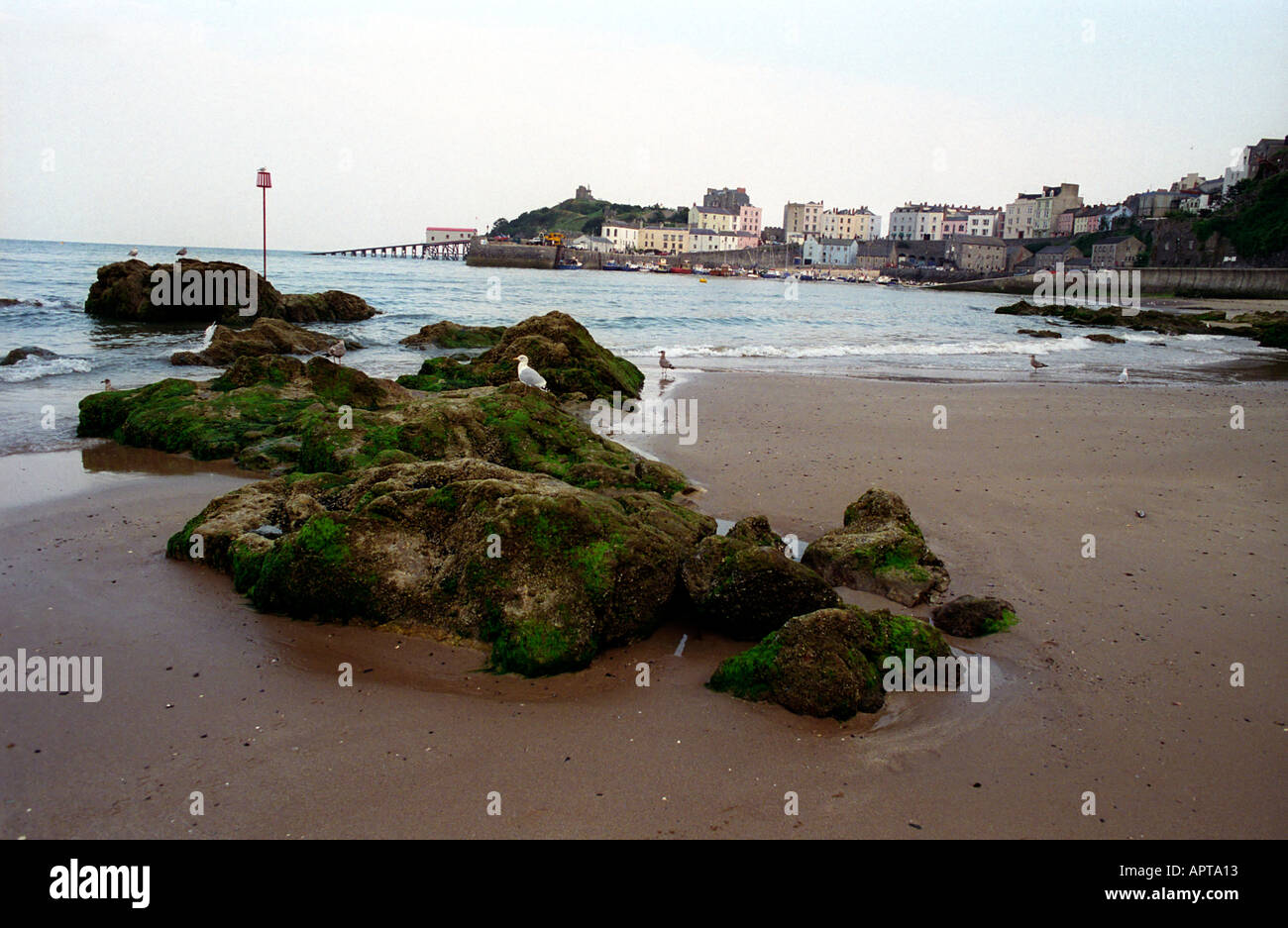 Tenby harbour area hi-res stock photography and images - Alamy