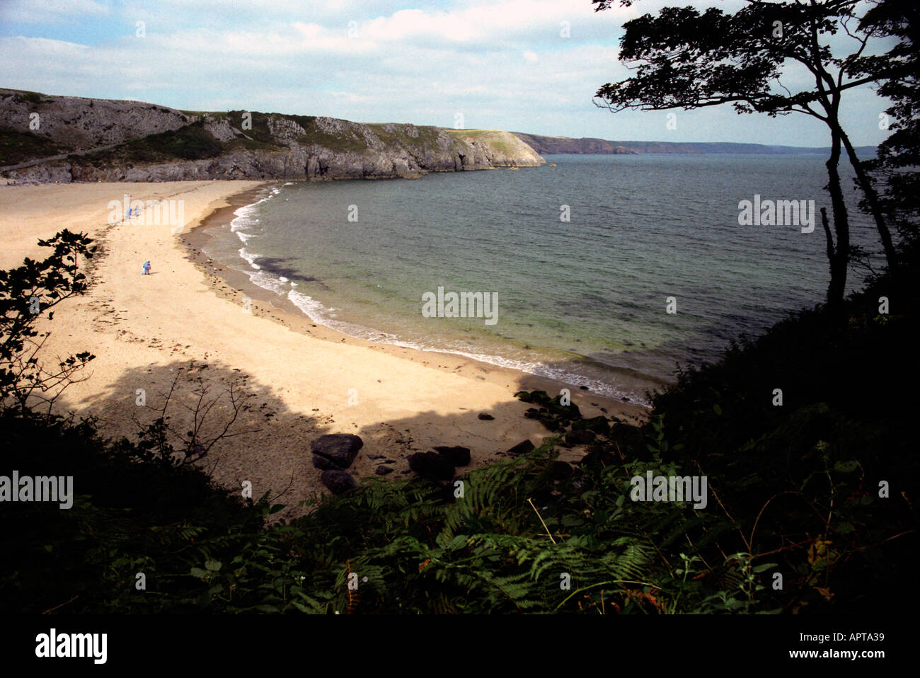 Barafundle beach west wales hi-res stock photography and images - Alamy