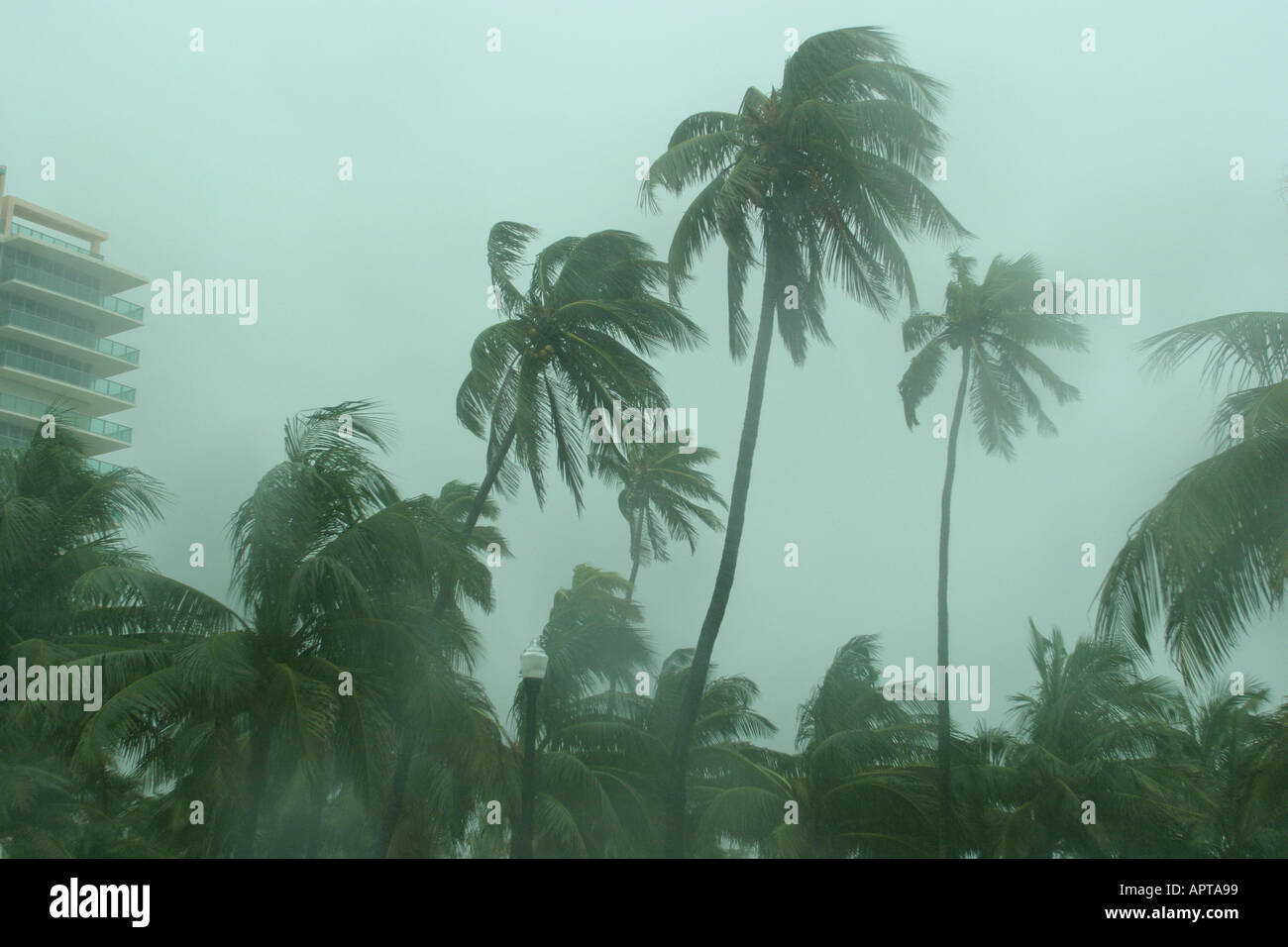 Miami Beach Florida,South Beach,Ocean Drive,weather,Hurricane Jeanne ...