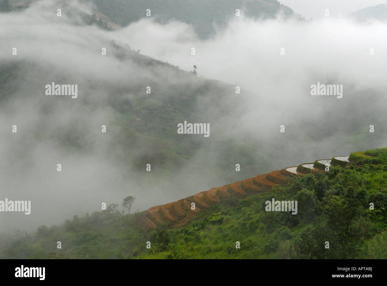 Fog Sapa Vietnam Stock Photo - Alamy