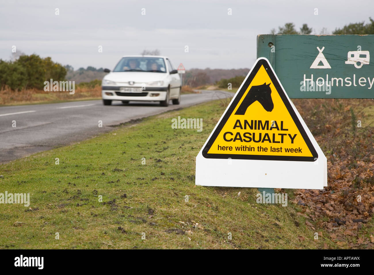Animal Casualty sign posted on the side of the road at Thorney Hill New ...