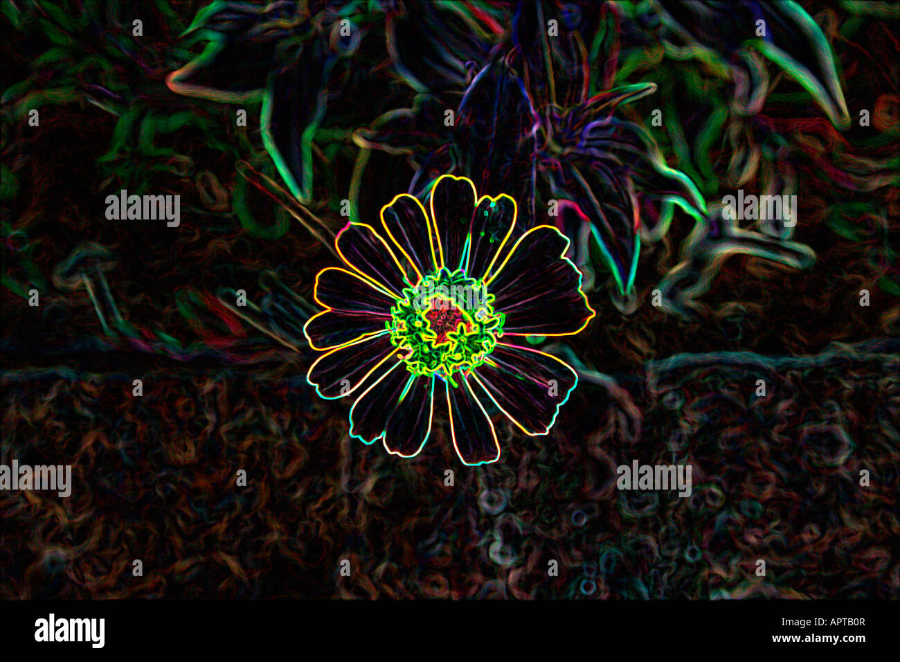 Stark contrast hi-res stock photography and images - Alamy