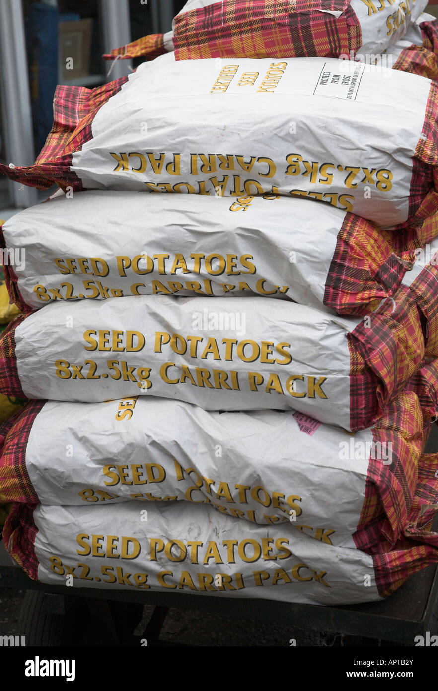 Scottish seed potatoes stacked in large paper sacks Stock Photo - Alamy
