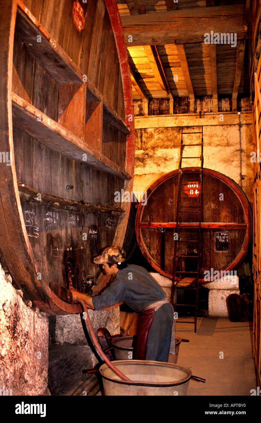 Languedoc Roussilon Wine press vintage grapes Stock Photo - Alamy