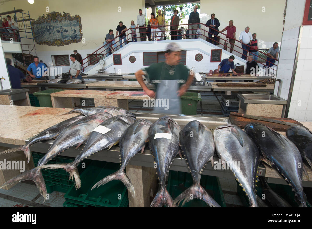 Tuna fish in Mercado dos Lavradores fish market, Funchal ,Madeira ...