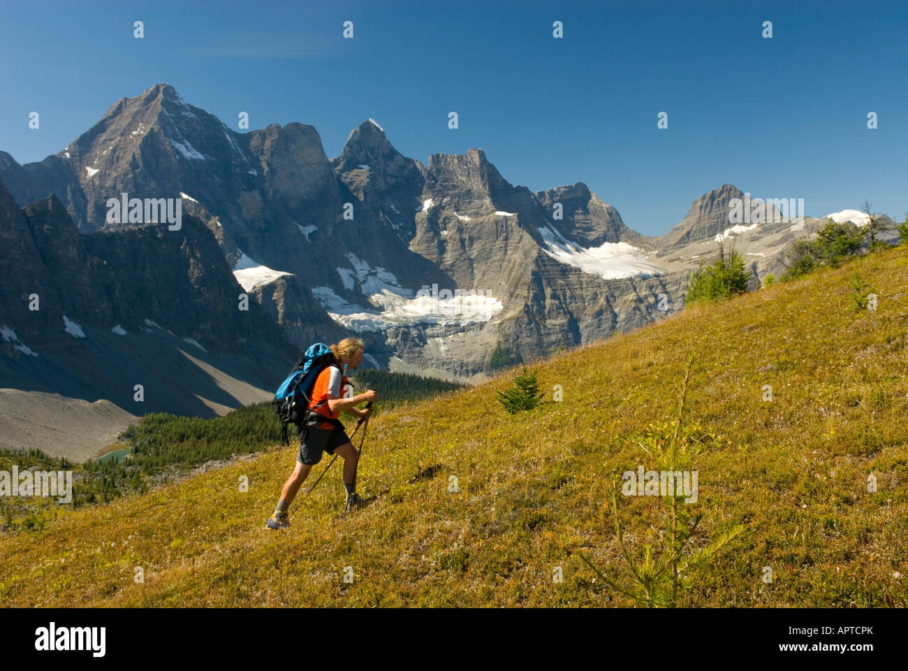 Hiker at Goodsir Pass Mount Goodsir 3567m 11 703 in the background ...