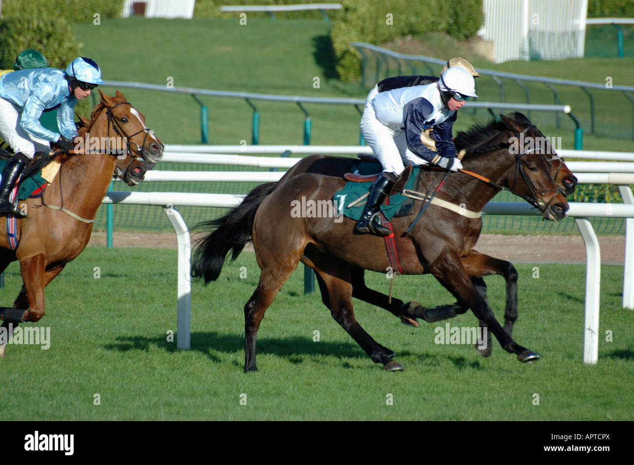 Canter racing hi-res stock photography and images - Alamy