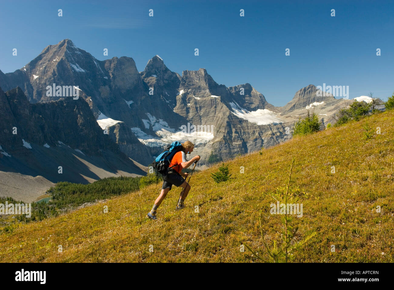 Hiker at Goodsir Pass Mount Goodsir 3567m 11 703 in the background ...