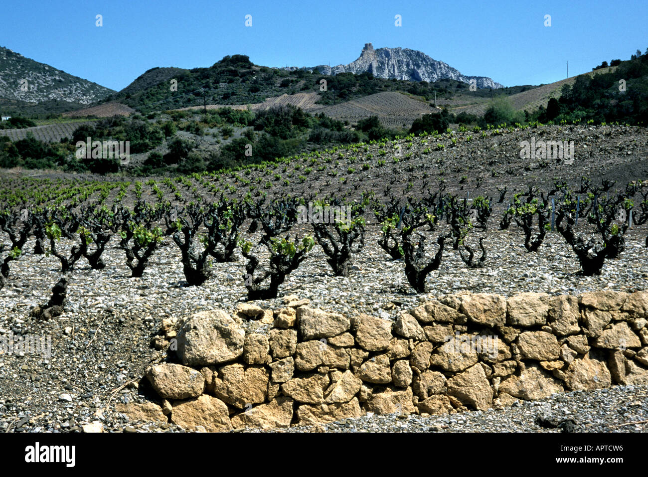 Corbieres france french hi-res stock photography and images - Alamy