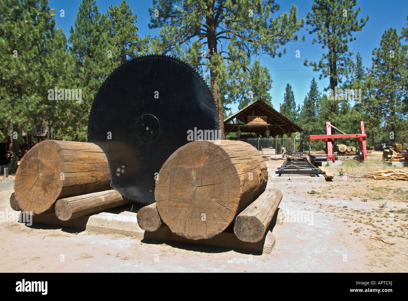 Oregon Chiloquin Collier Memorial State Park Logging Museum saw blade ...