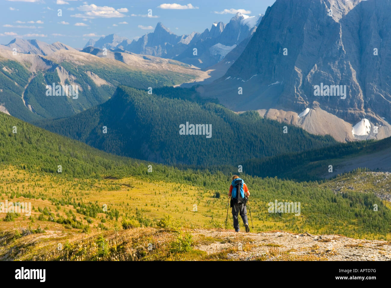 Backpacker at the Rockwall Kootenay National Park British Columbia ...