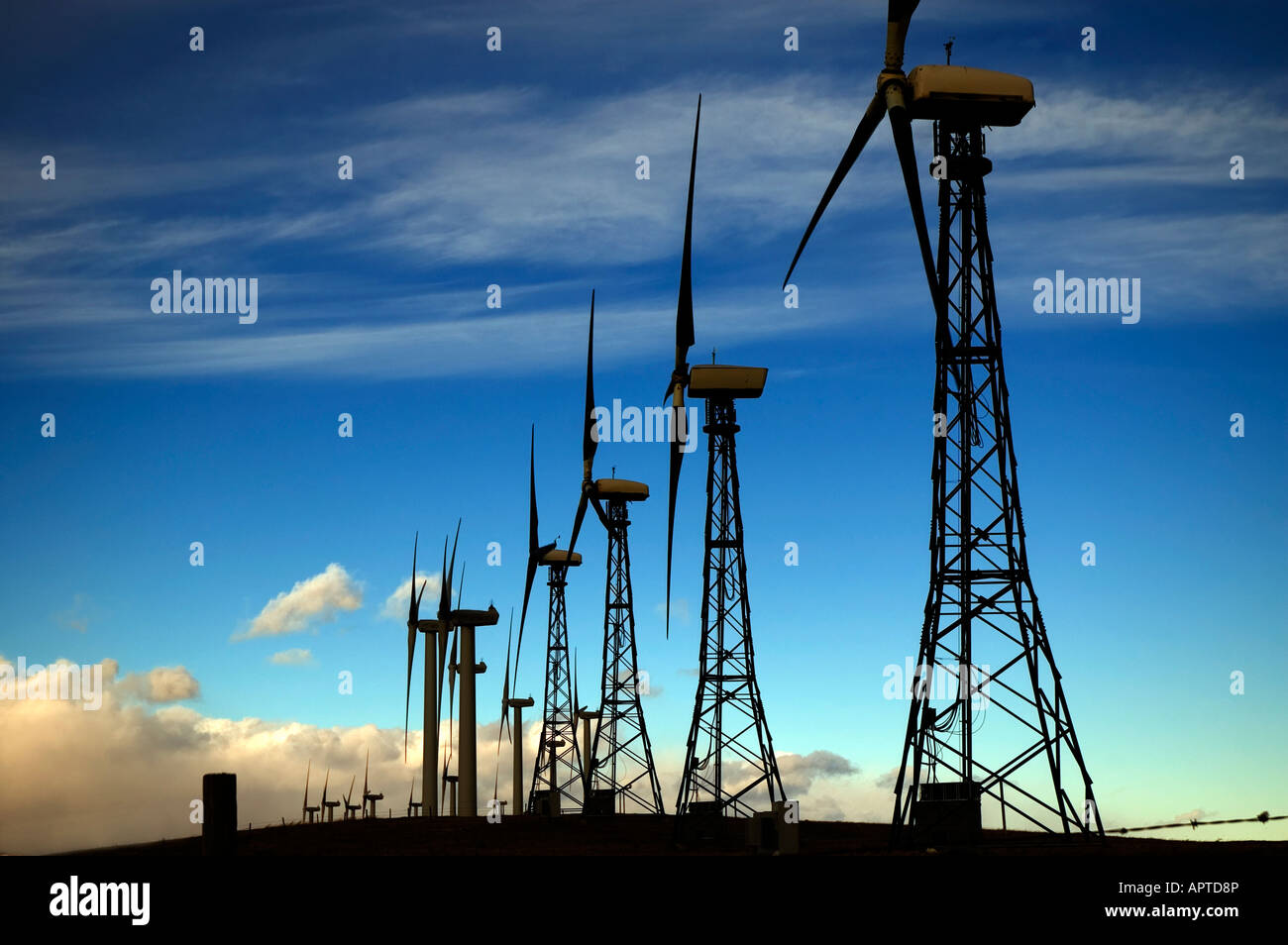 Windmills generating electricity Stock Photo - Alamy