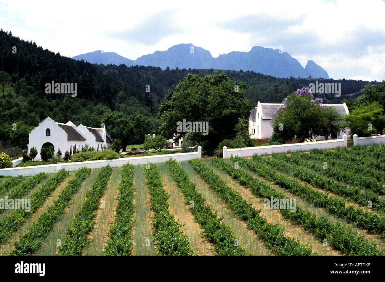 Morgenhof South Africa Wine Estate Winery vintage Stock Photo - Alamy