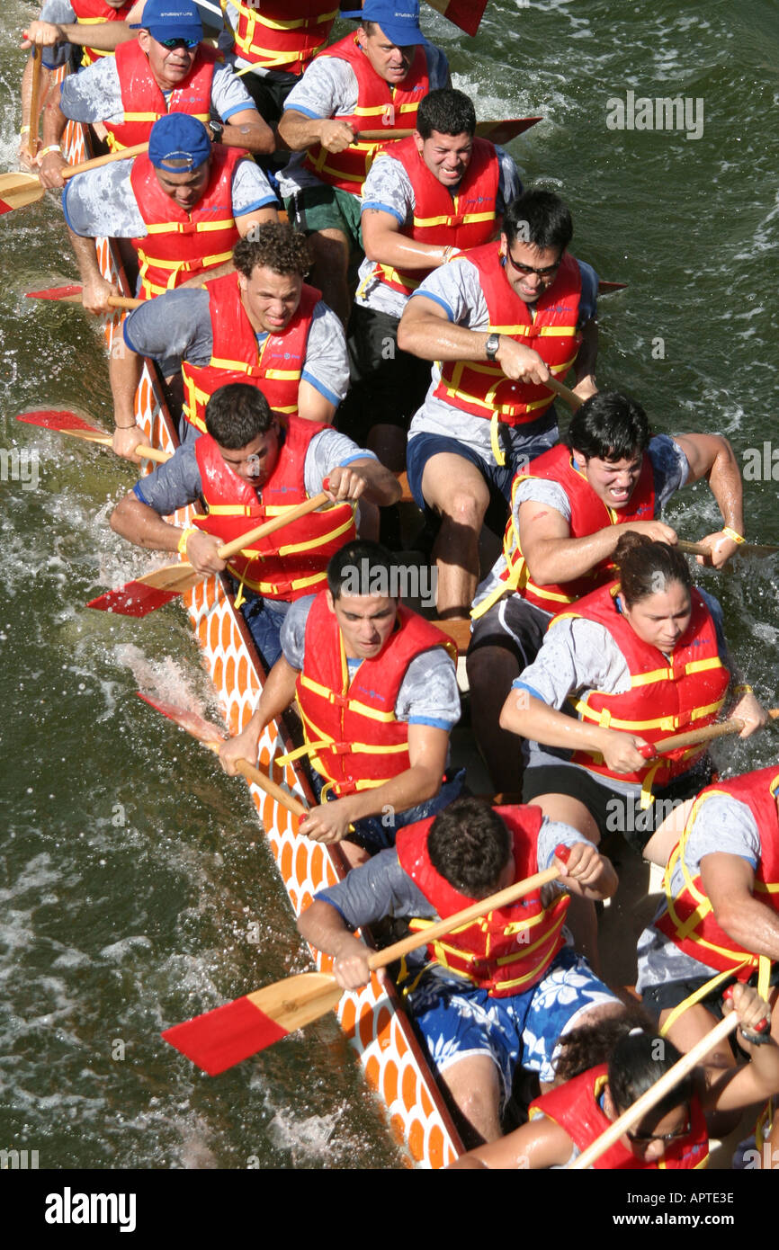 Miami Florida,Biscayne Bay,water,Brickell Key,Miami Hong Kong Dragon ...