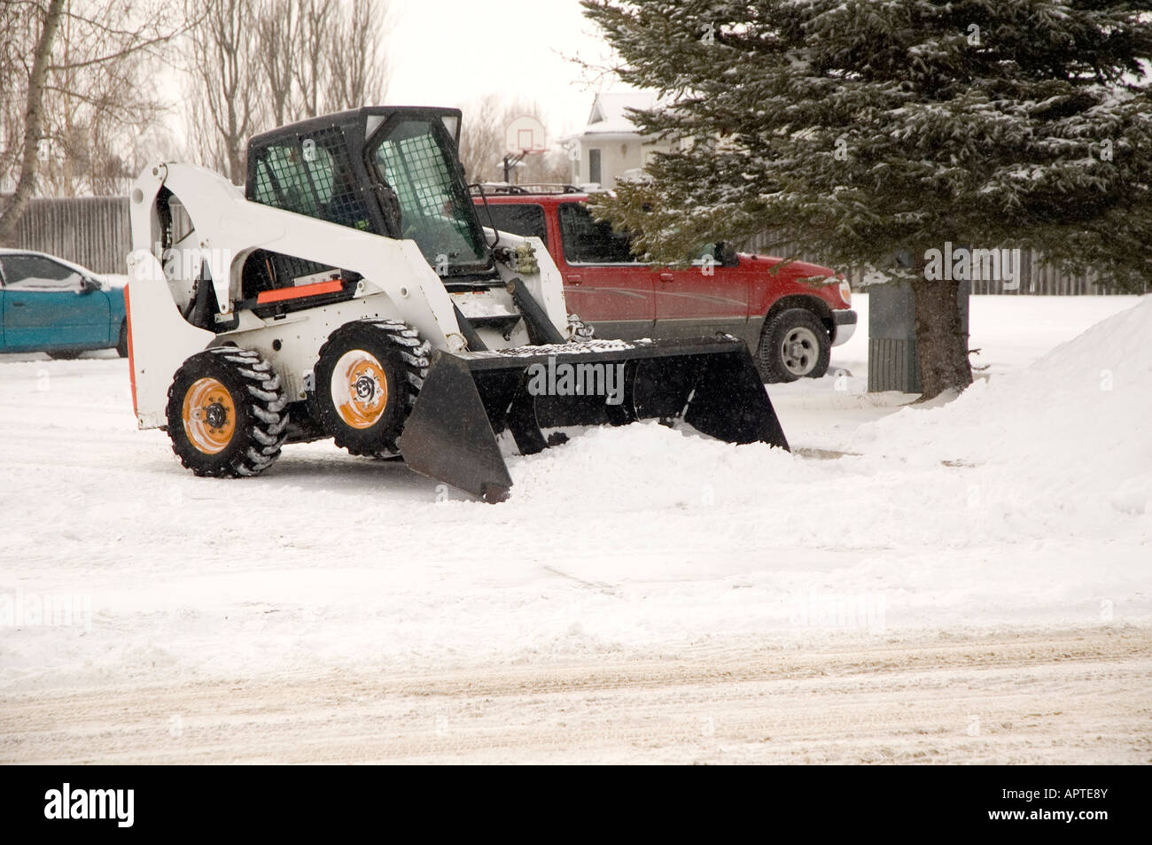 "Bob cat" plowing snow Stock Photo - Alamy