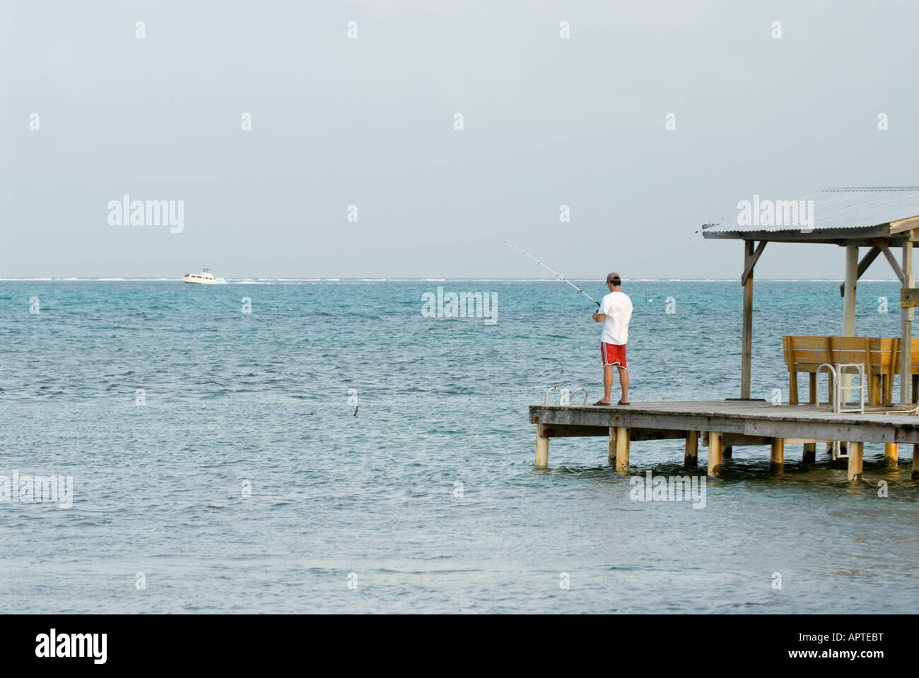 man fishing off dock in belize Stock Photo - Alamy