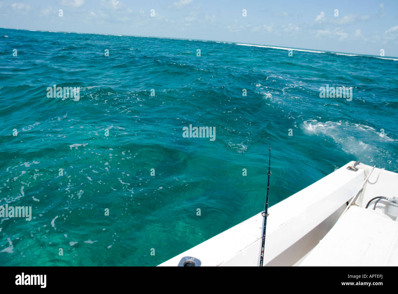 fishing in the blue waters of belize Stock Photo - Alamy