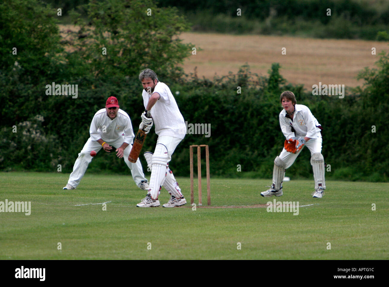 Village cricket match in progress Stock Photo - Alamy