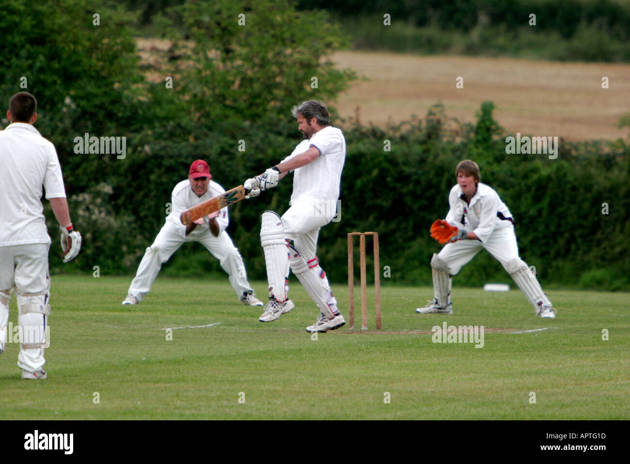 Village cricket match in progress Stock Photo - Alamy