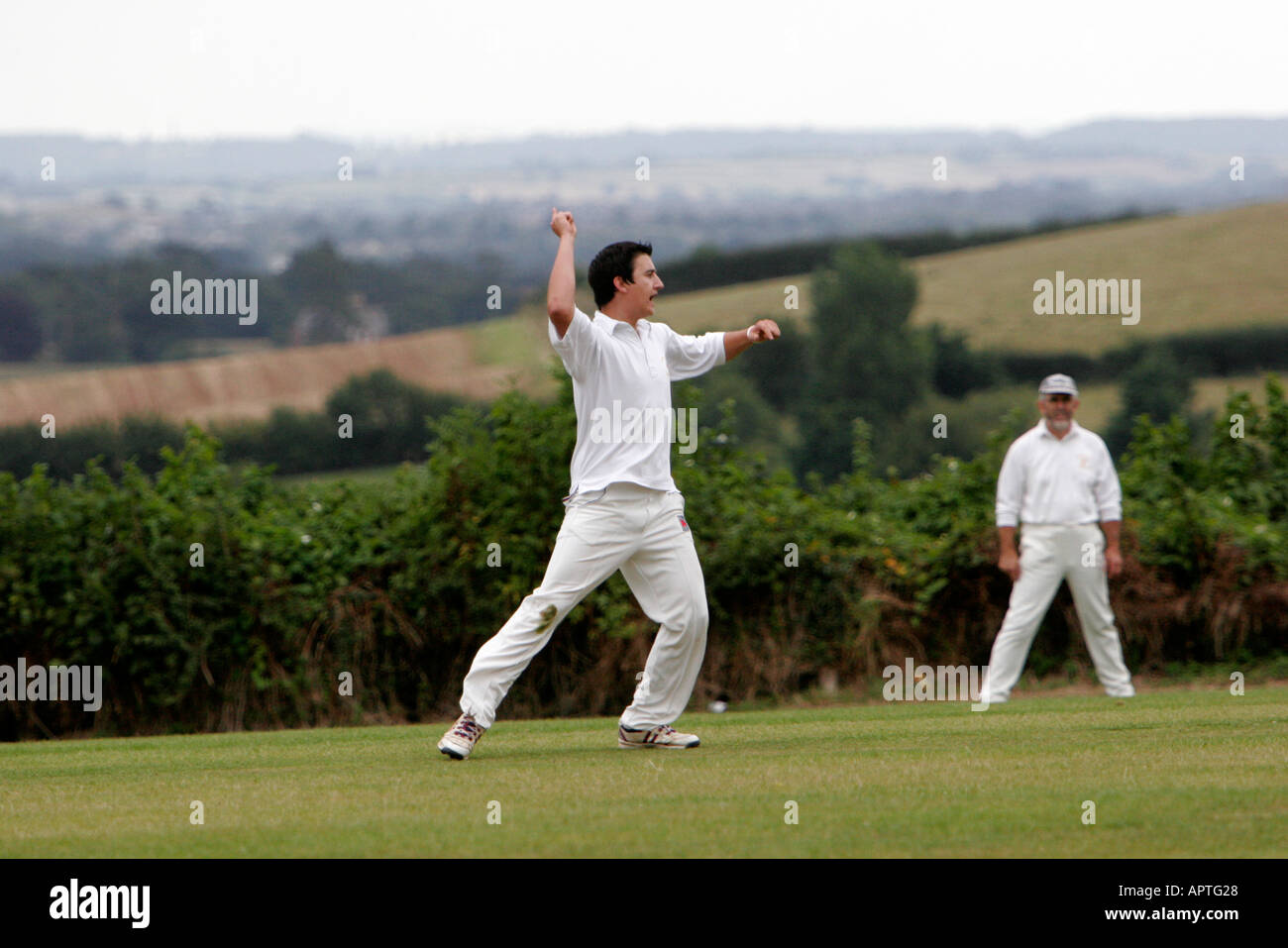 Cricket umpire decision hi-res stock photography and images - Alamy
