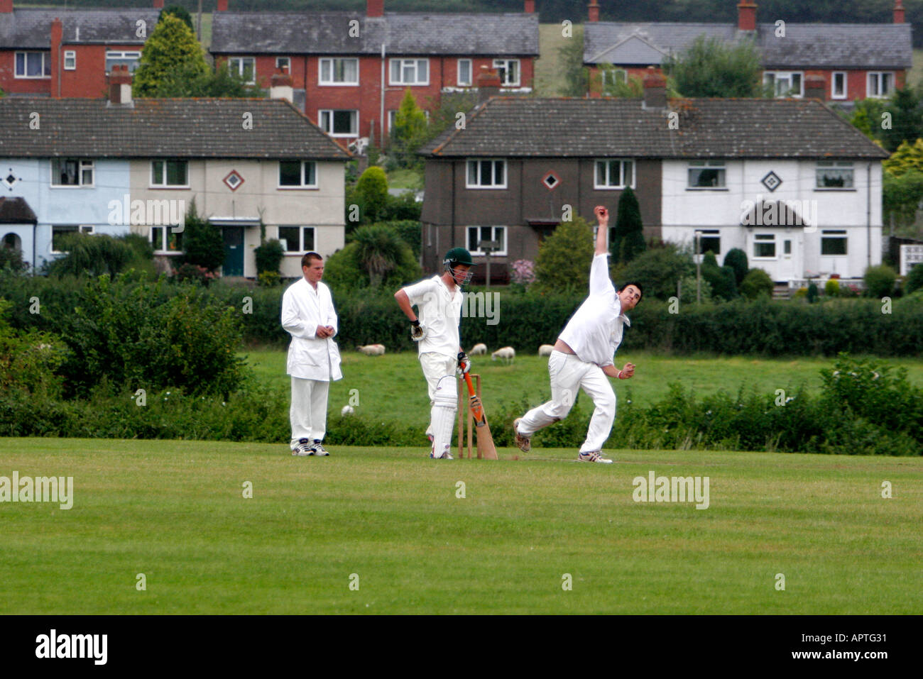 Village cricket match in progress Stock Photo - Alamy