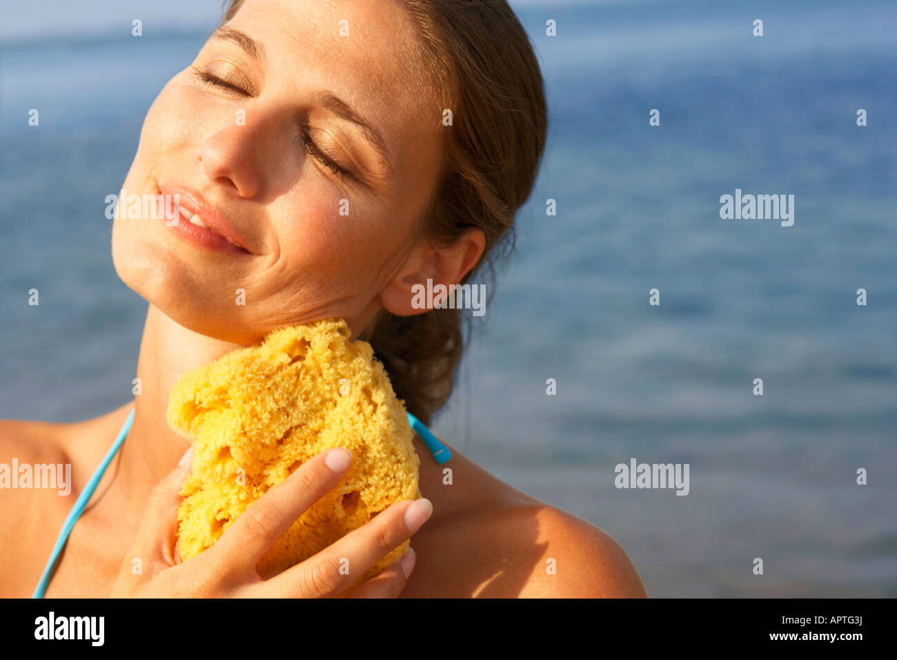Natural sponge with eyes hi-res stock photography and images - Alamy