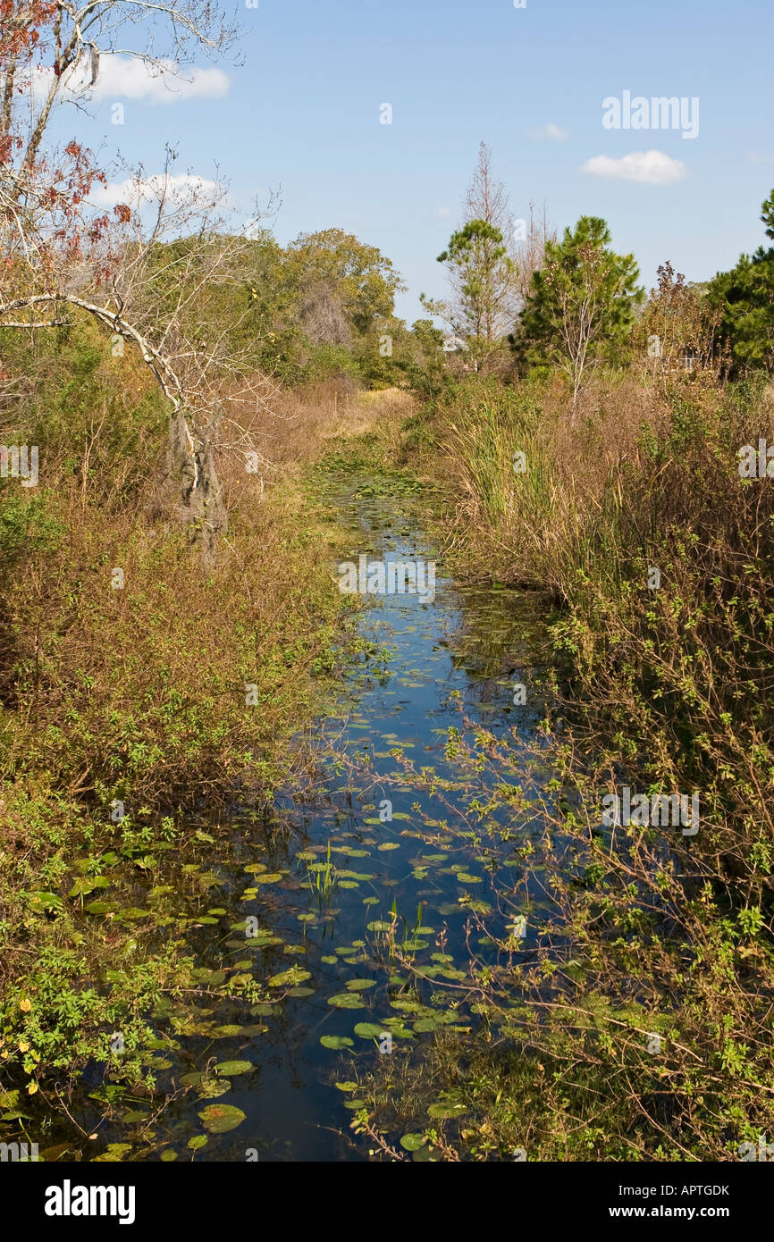 Wooded waterway hi-res stock photography and images - Alamy