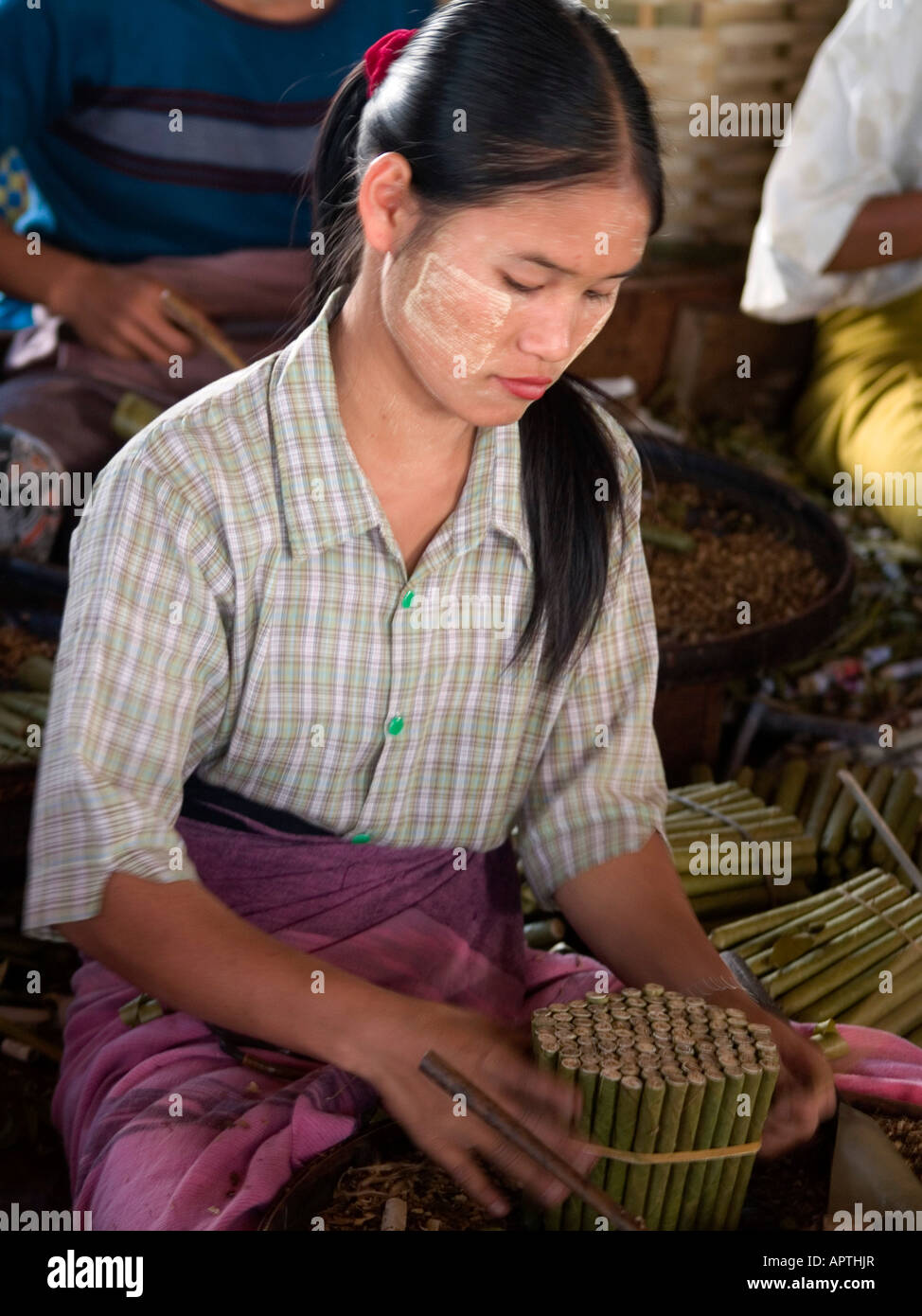 Burmese girl with her bundle of cheroots at cigar factory on Inle Lake ...