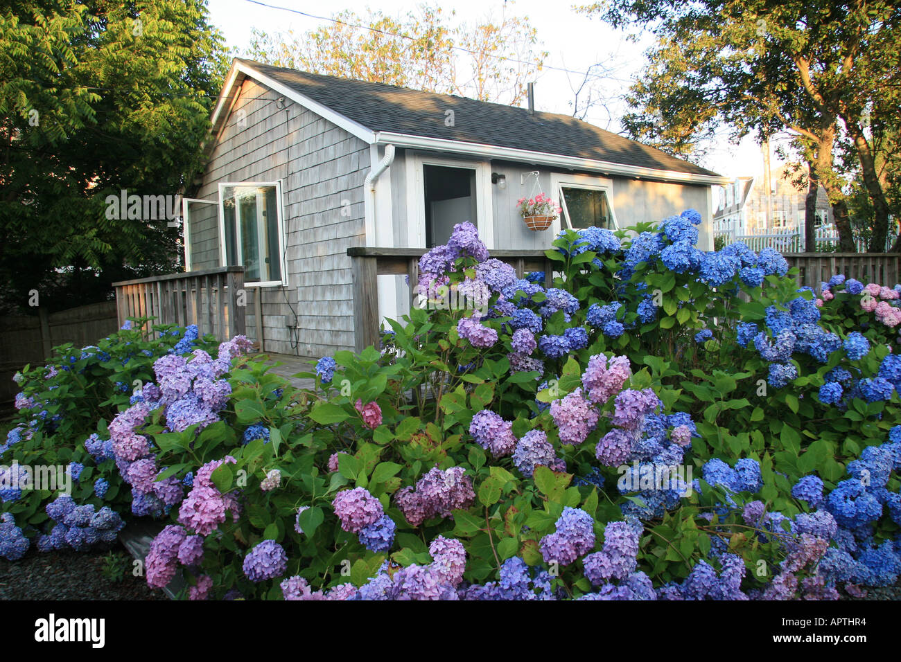 Cape Cod style cottage in Brewster Massachusetts USA Stock Photo - Alamy