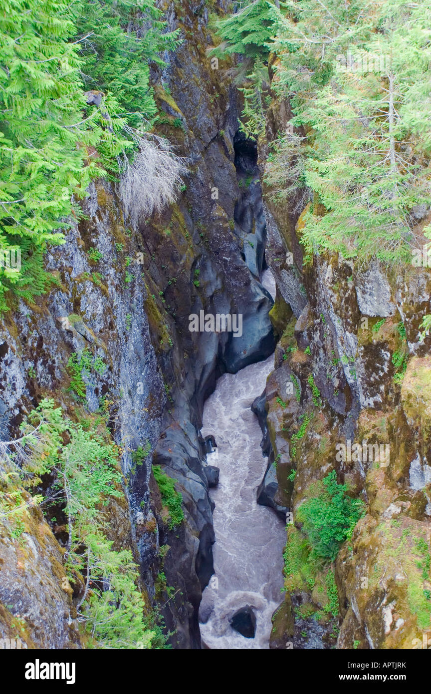Cowlitz river hi-res stock photography and images - Alamy