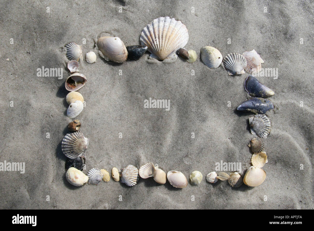 Shell border on sand Stock Photo - Alamy