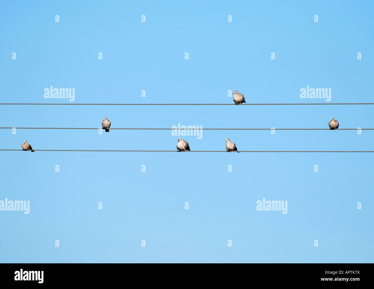 Musical six hi-res stock photography and images - Alamy