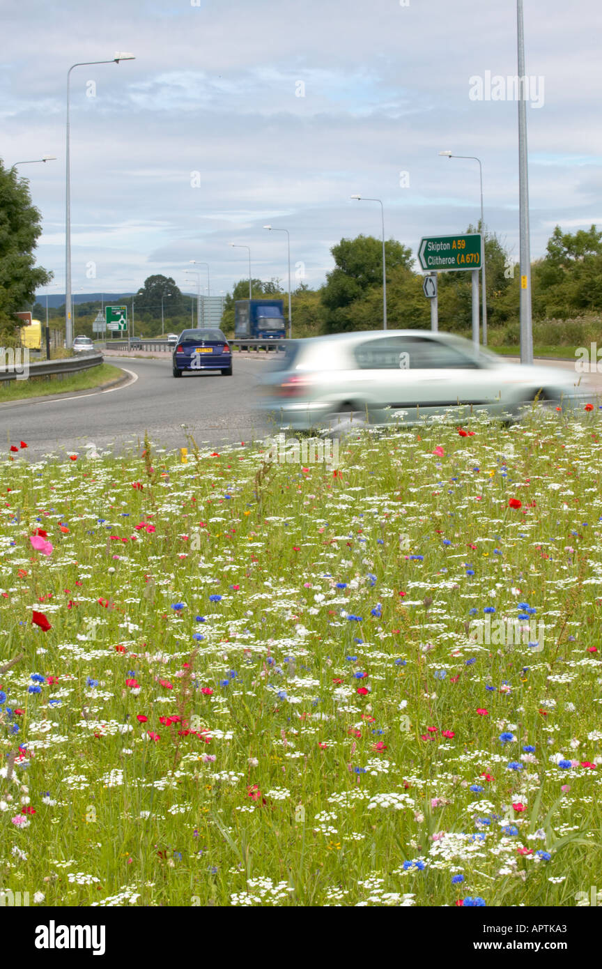 busy roundabout planted with arable weed wildflower and wild meadow ...