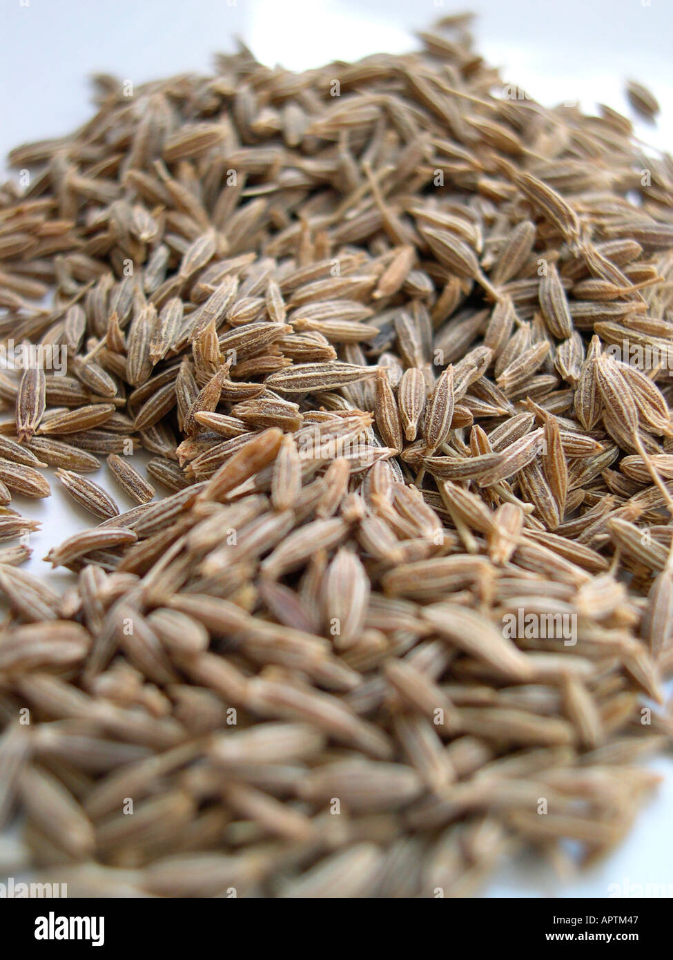 whole cumin seeds used in indian and middle east cookery Stock Photo ...