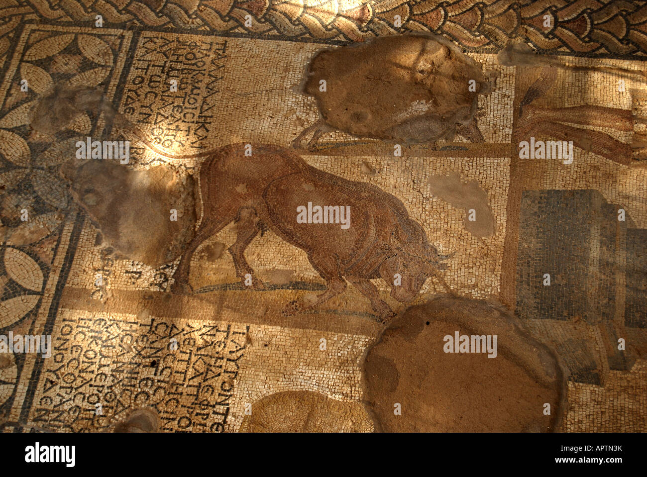floor of roman villa skala kephalonia greece number 2639 Stock Photo ...
