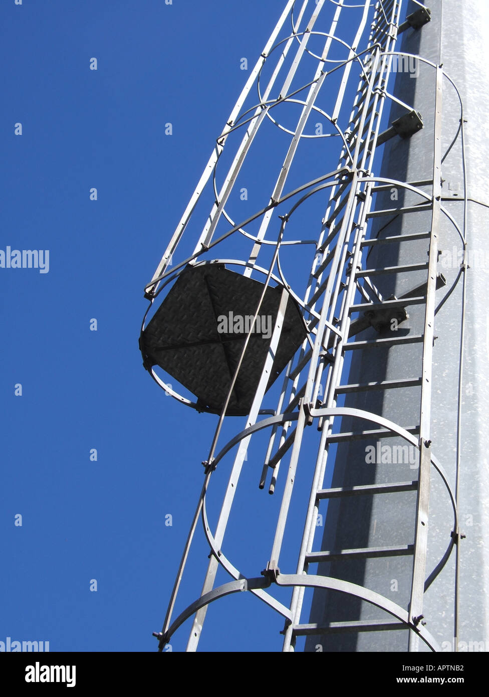 safety ladder at stadium Stock Photo - Alamy