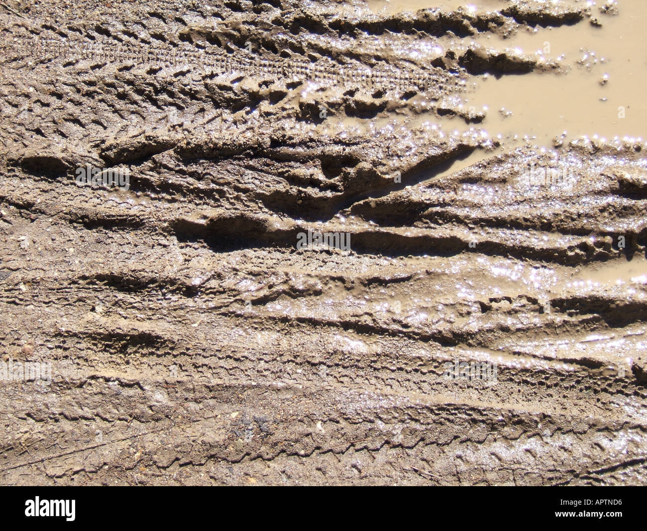 tyre tracks in mud Stock Photo - Alamy