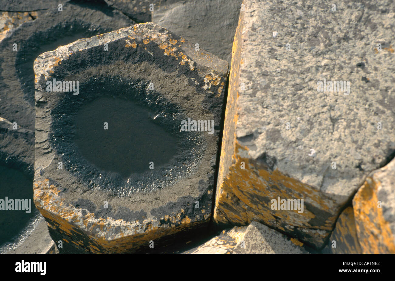 Columnar basalt columns hexagon geology geological hi-res stock ...