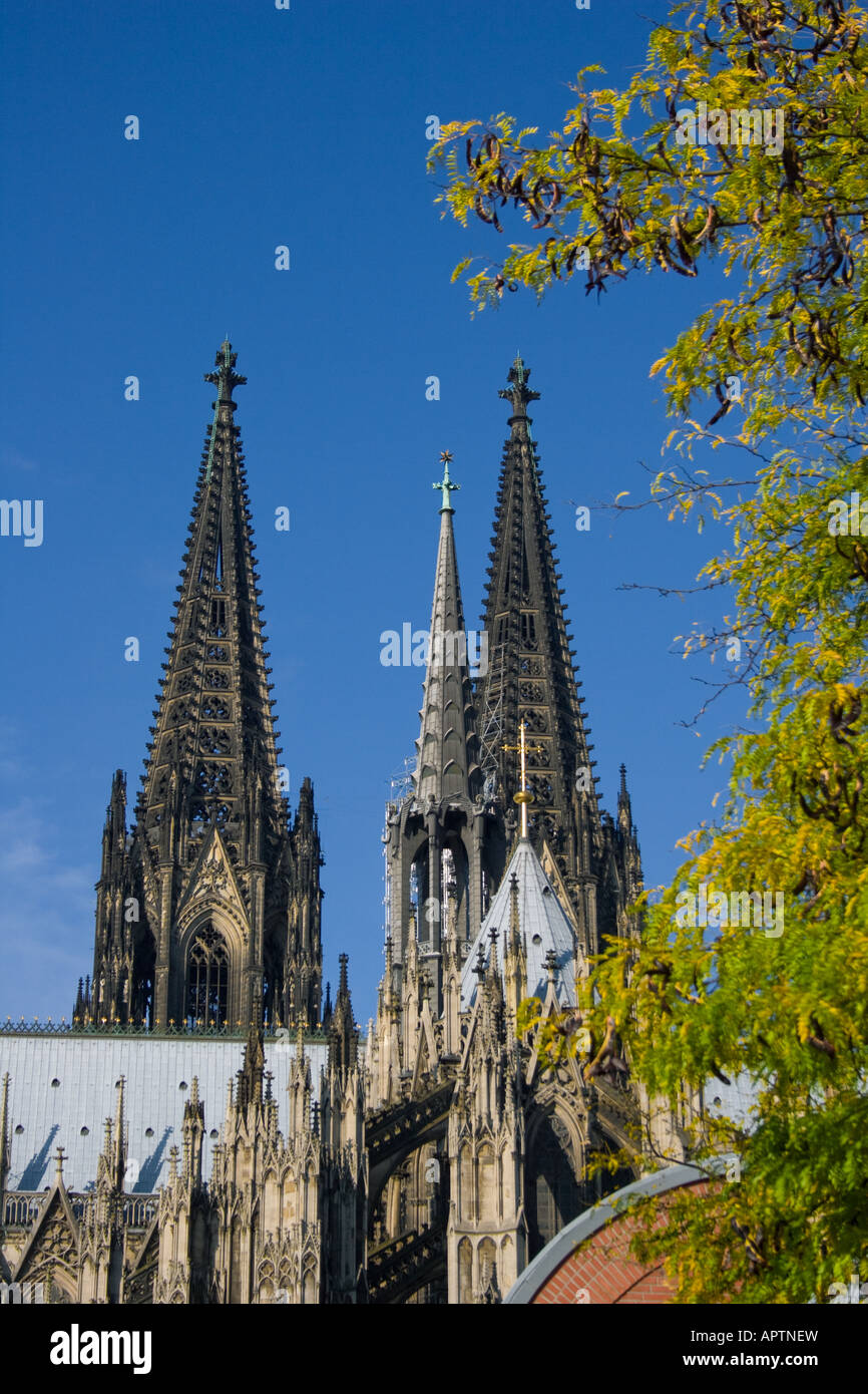 Details of cathedral in cologne hi-res stock photography and images - Alamy