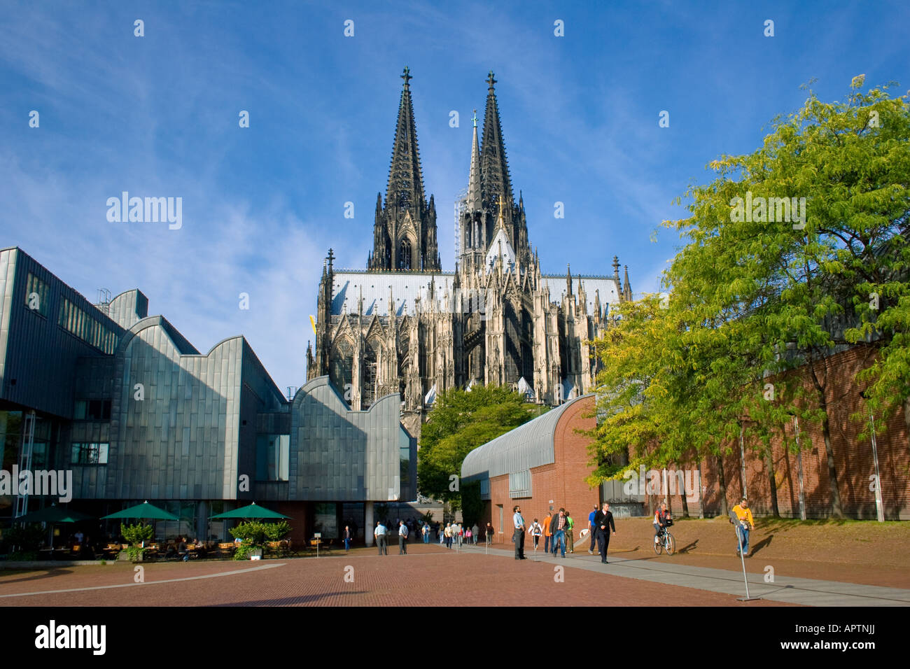 Koln Cathedral - Gothic Architecture, Cologne, Germany Stock Photo - Alamy