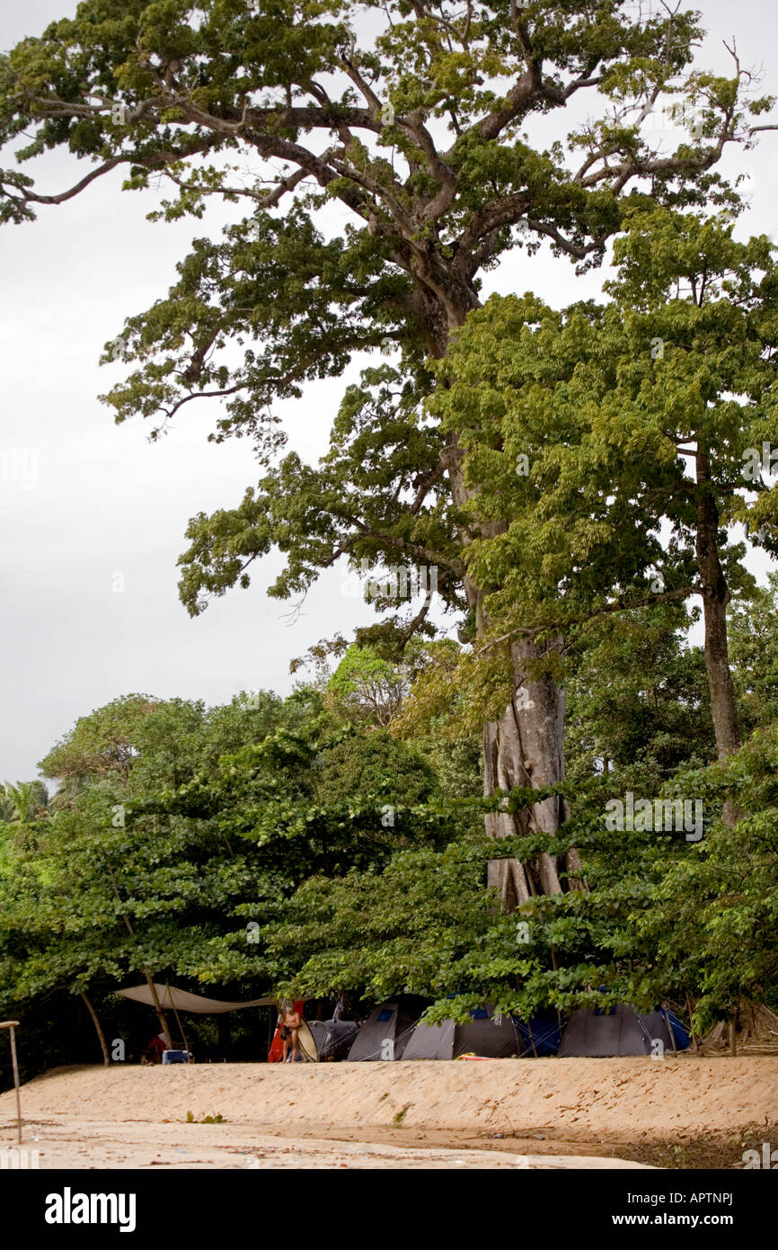 Liberia, Cape Mount, Robertsport Stock Photo - Alamy