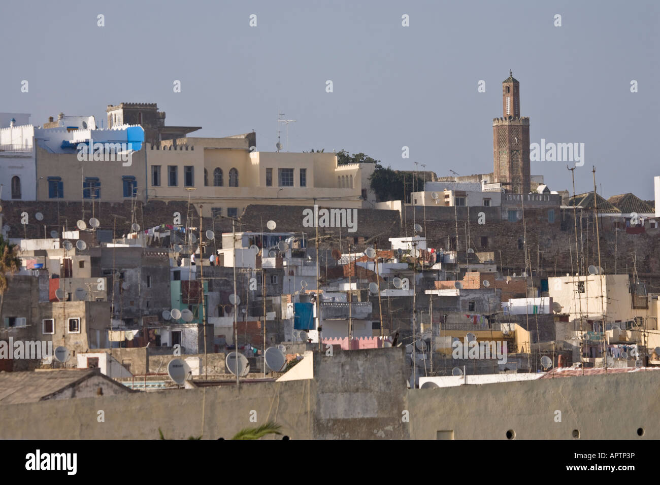 A mosque stands behind rooftops, of typical middle class housing, in ...