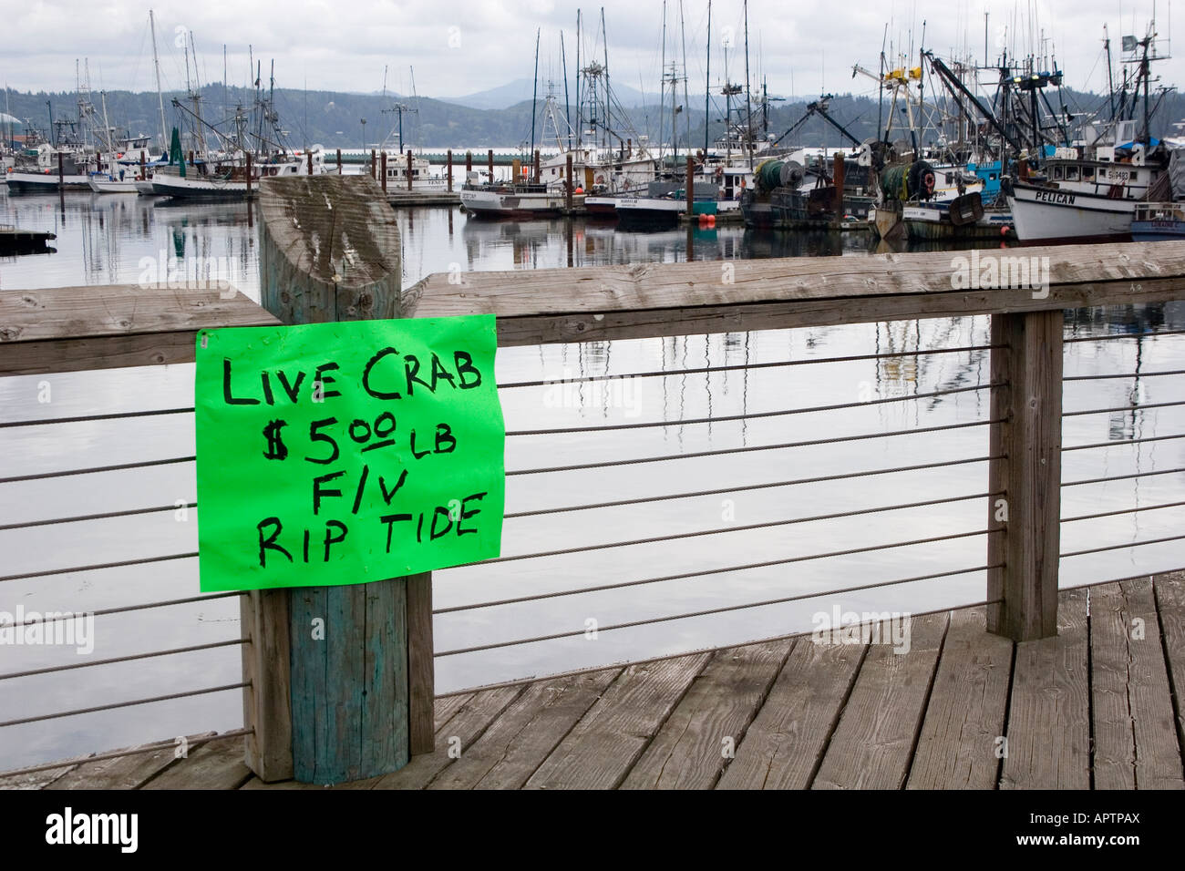 Sign advertising live crab for sale Stock Photo - Alamy