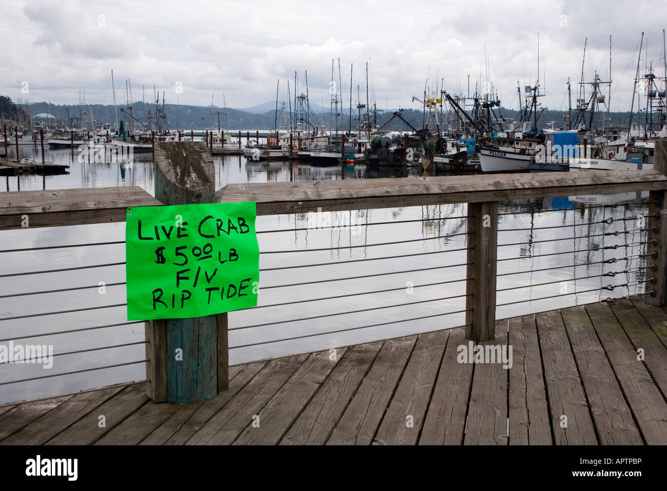 Sign advertising live crab for sale Stock Photo - Alamy
