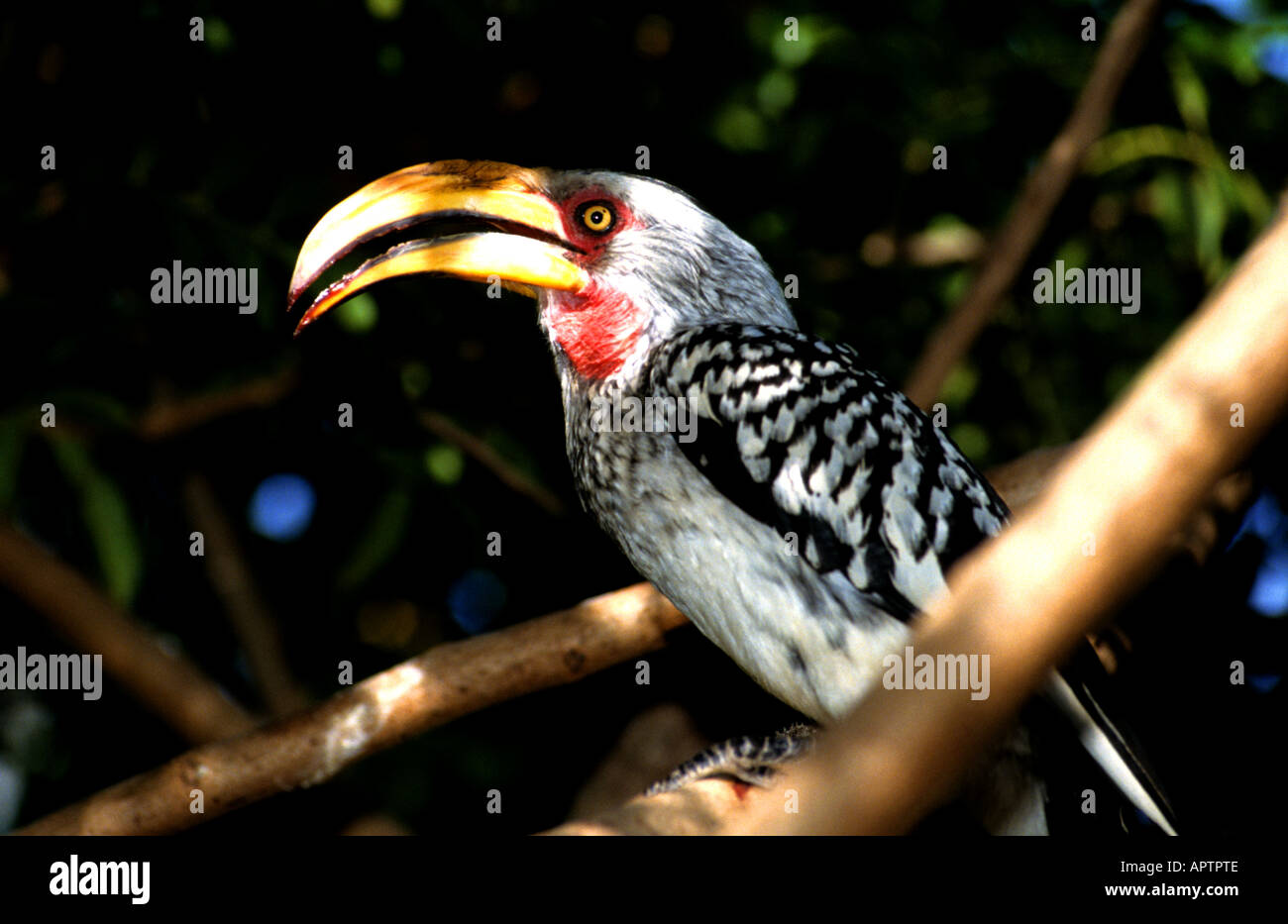Habitat for plants birds and animals hi-res stock photography and ...