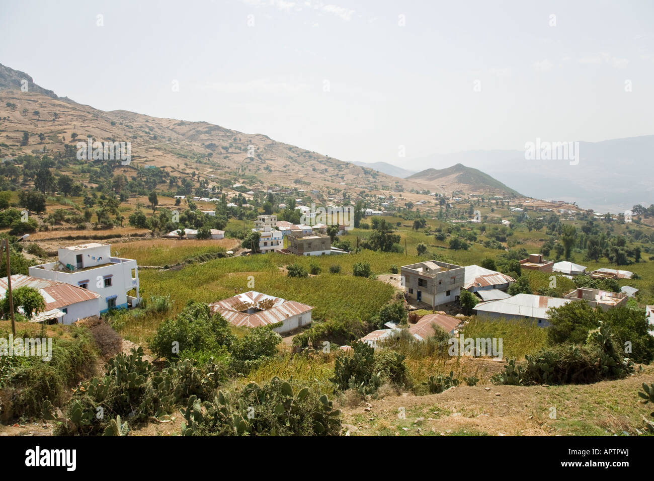 A village in the Rif Mountains, in Morocco, made wealthy from producing ...