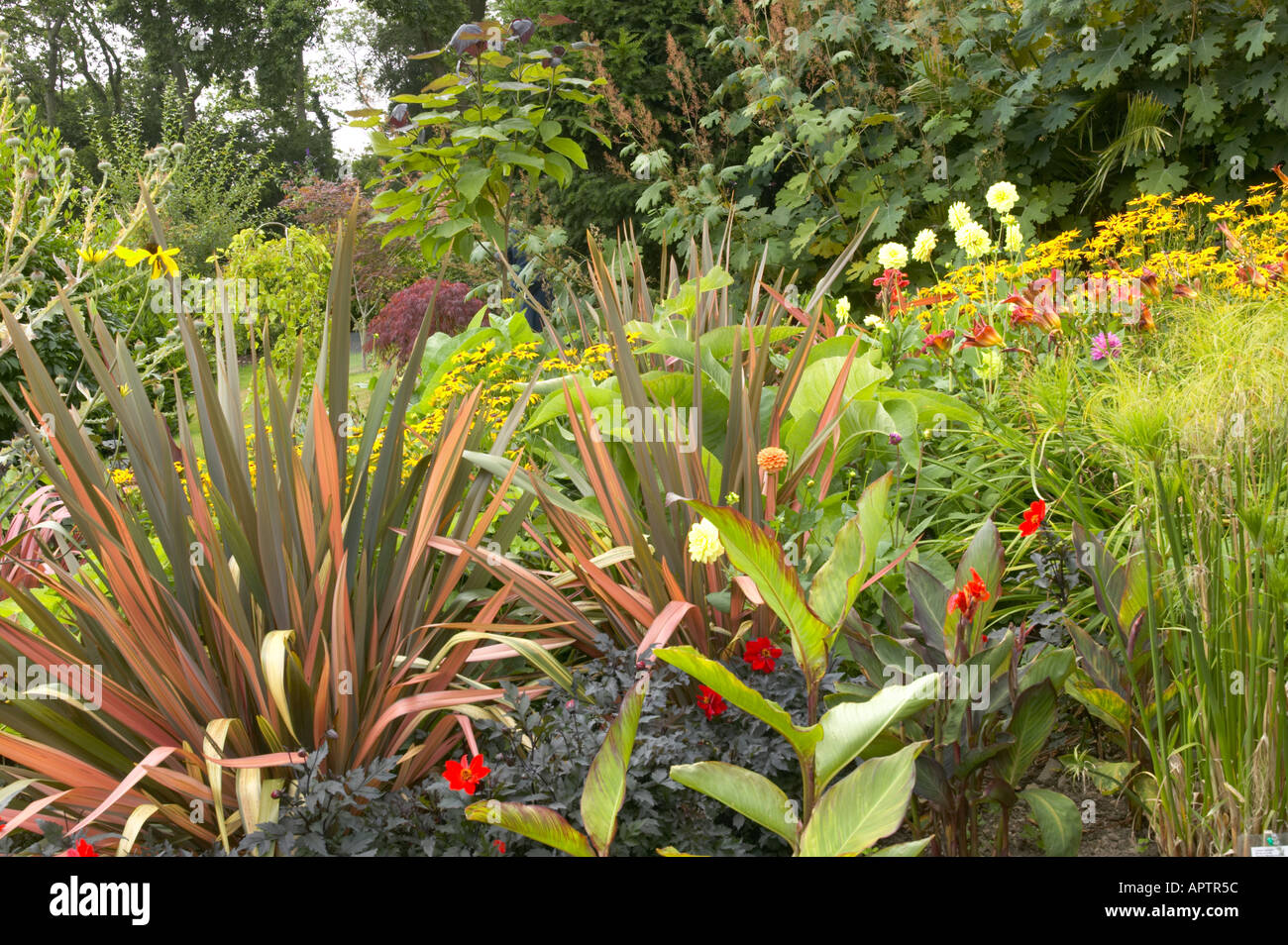 Yewbarrow House garden with exotic planting sub tropical exotics ...