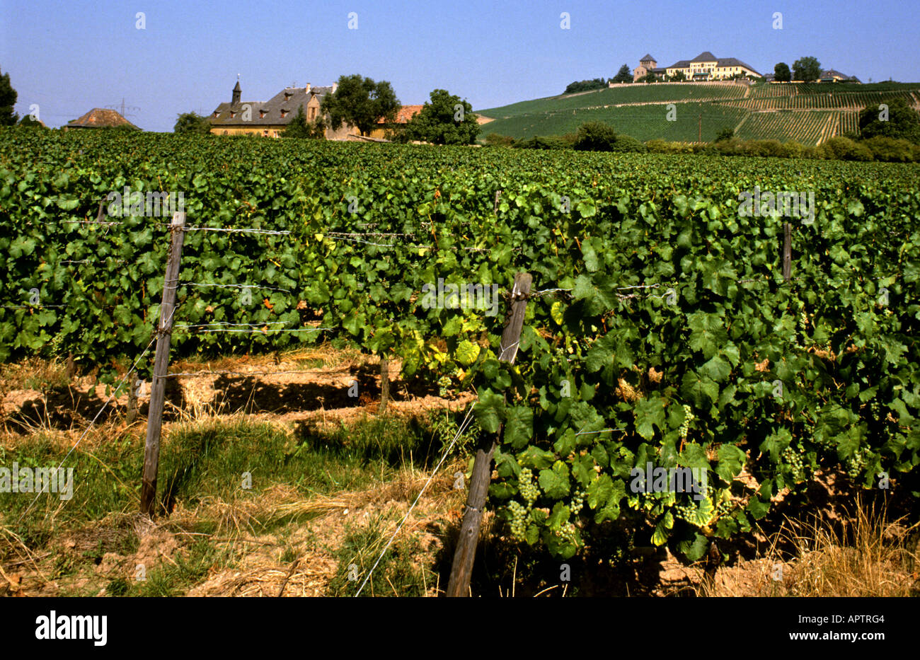 Beautiful working castle hi-res stock photography and images - Alamy